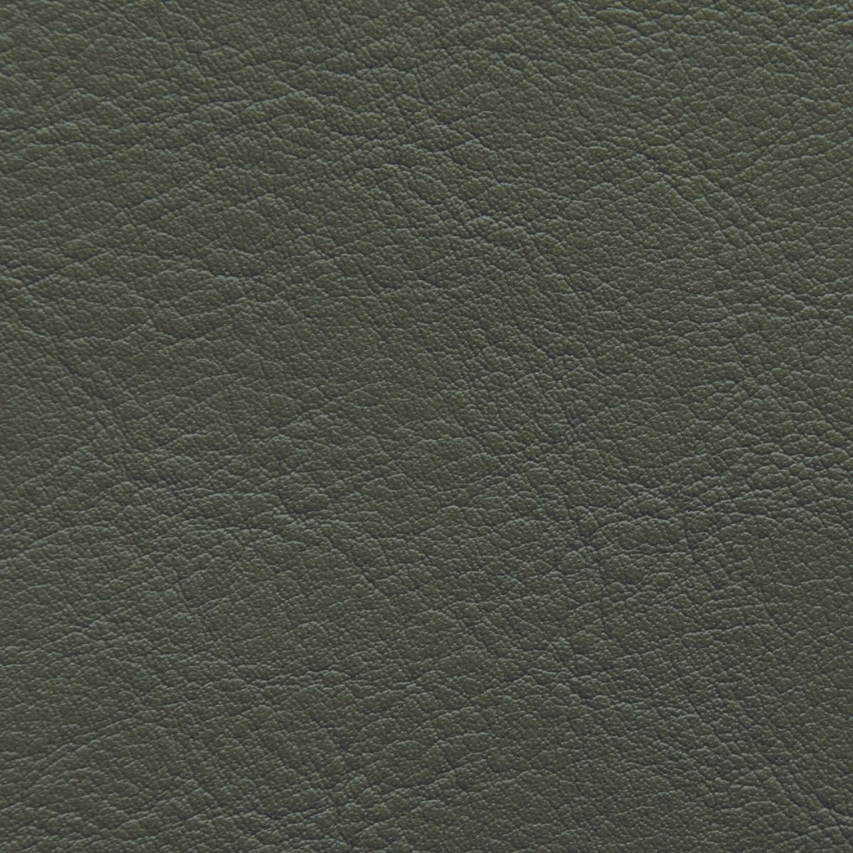 Panaz Aston 204 Moss | Care Home Upholstery - Spearhead Care Interiors