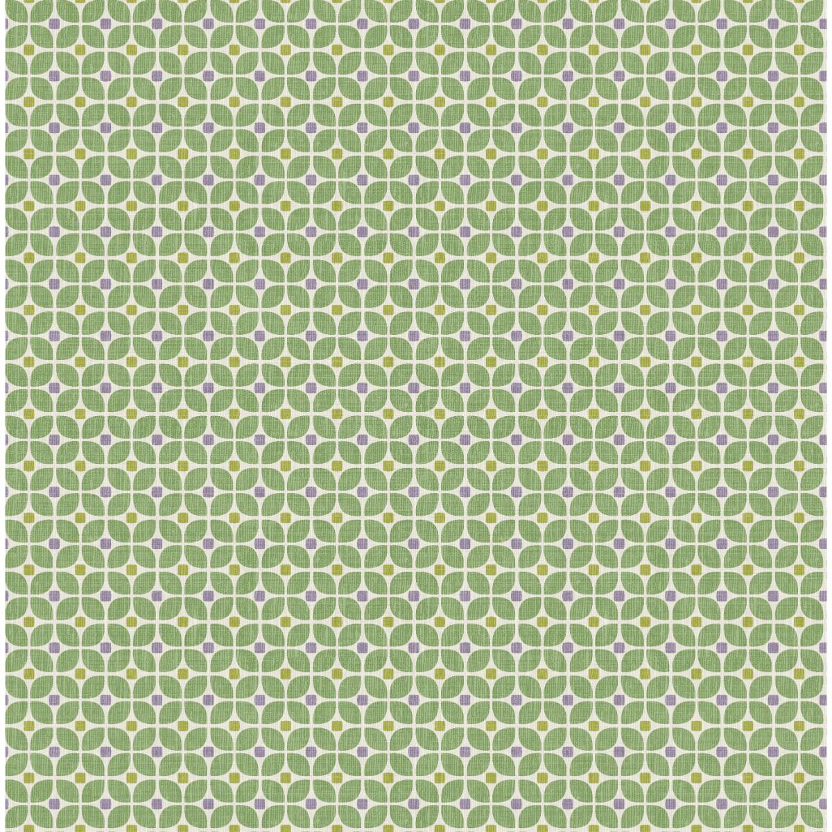 Edmund Bell Lakeland Derwent Fern | Spearhead