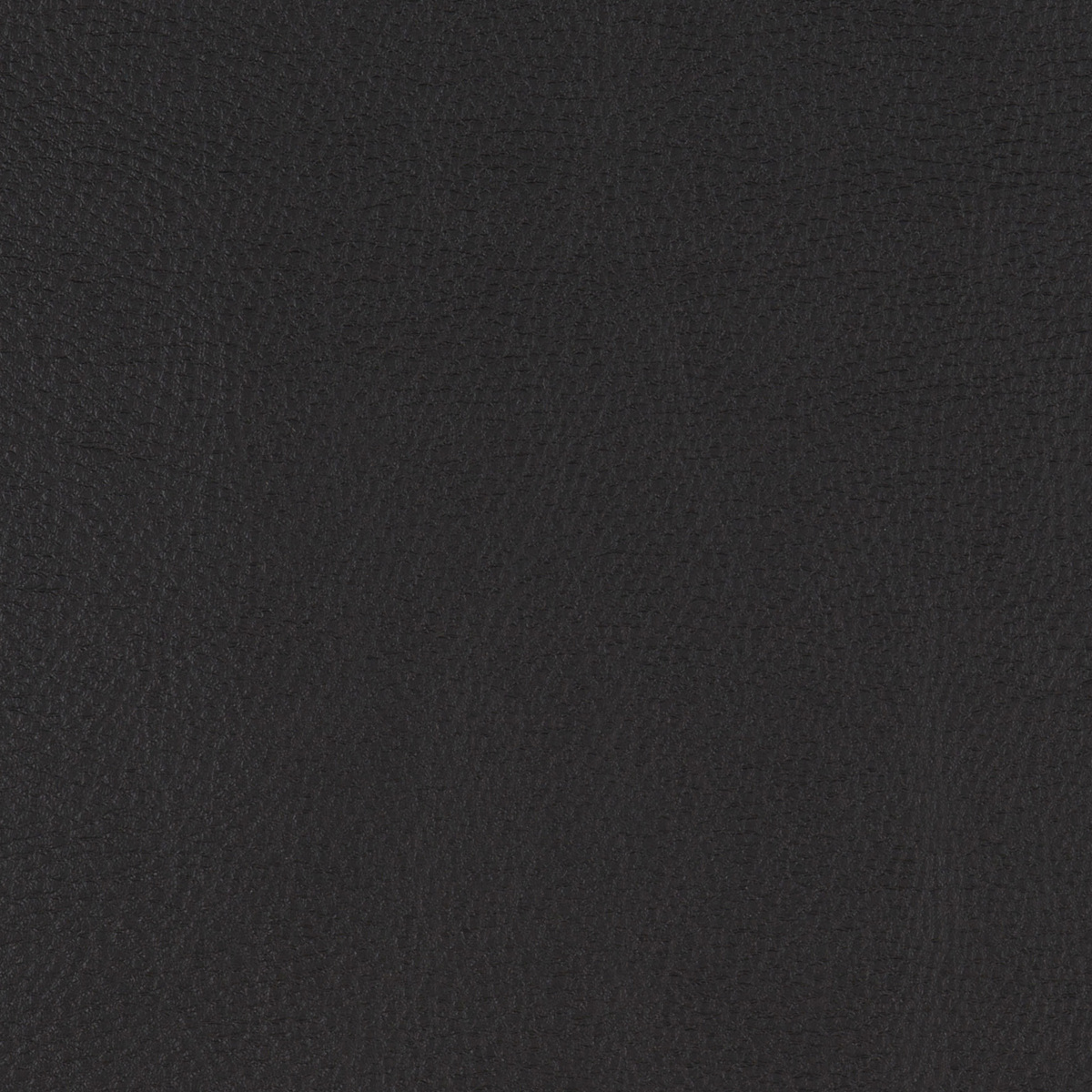 Agua Paint Pot Black | Spearhead